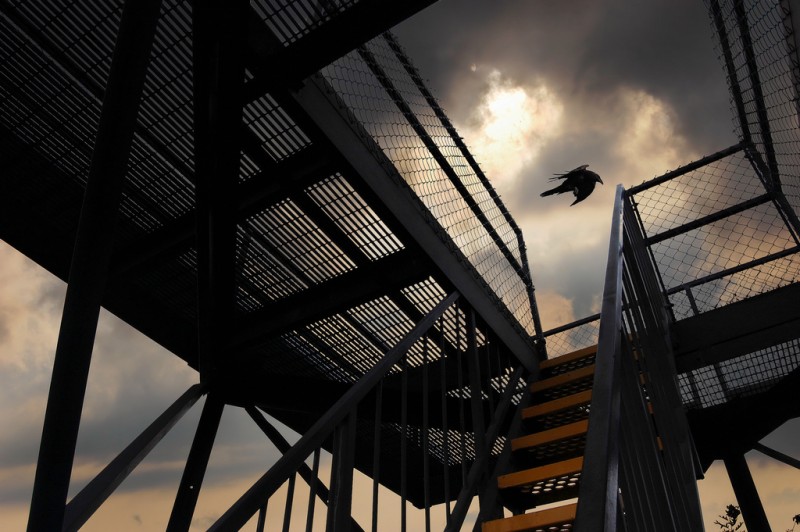 Infor acquires GT Nexus to beef up its cloud platform - SiliconANGLE