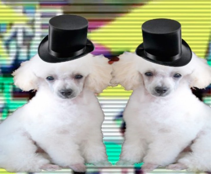 Pokemon GO goes down following DDoS attack from Poodle Corp. - SiliconANGLE