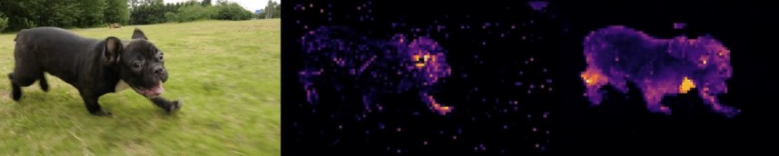 Facebook's DINO enables self-supervised learning for computer vision AI ...