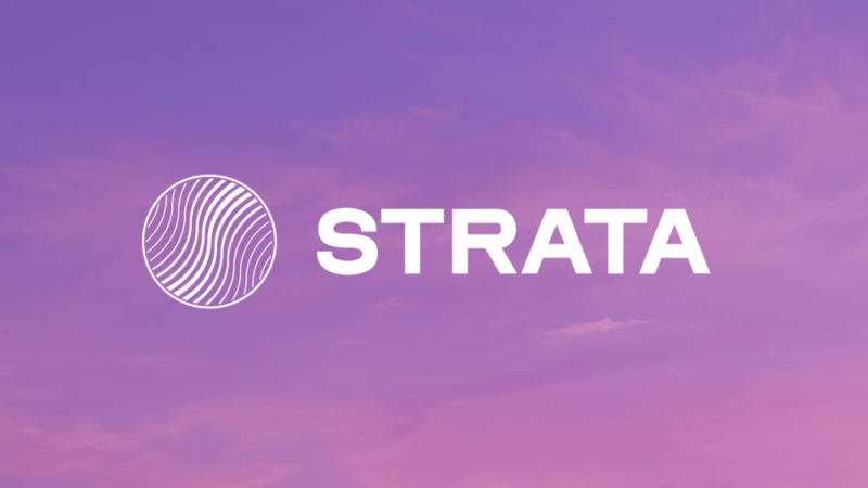 Strata bags $26M to simplify application access management for ...