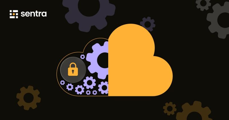 Sentra lands $50M to scale cloud-native data security and AI safeguards ...